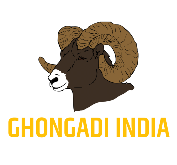 Ghongadi Woolen Blankets Buy Online | Ghongadi India