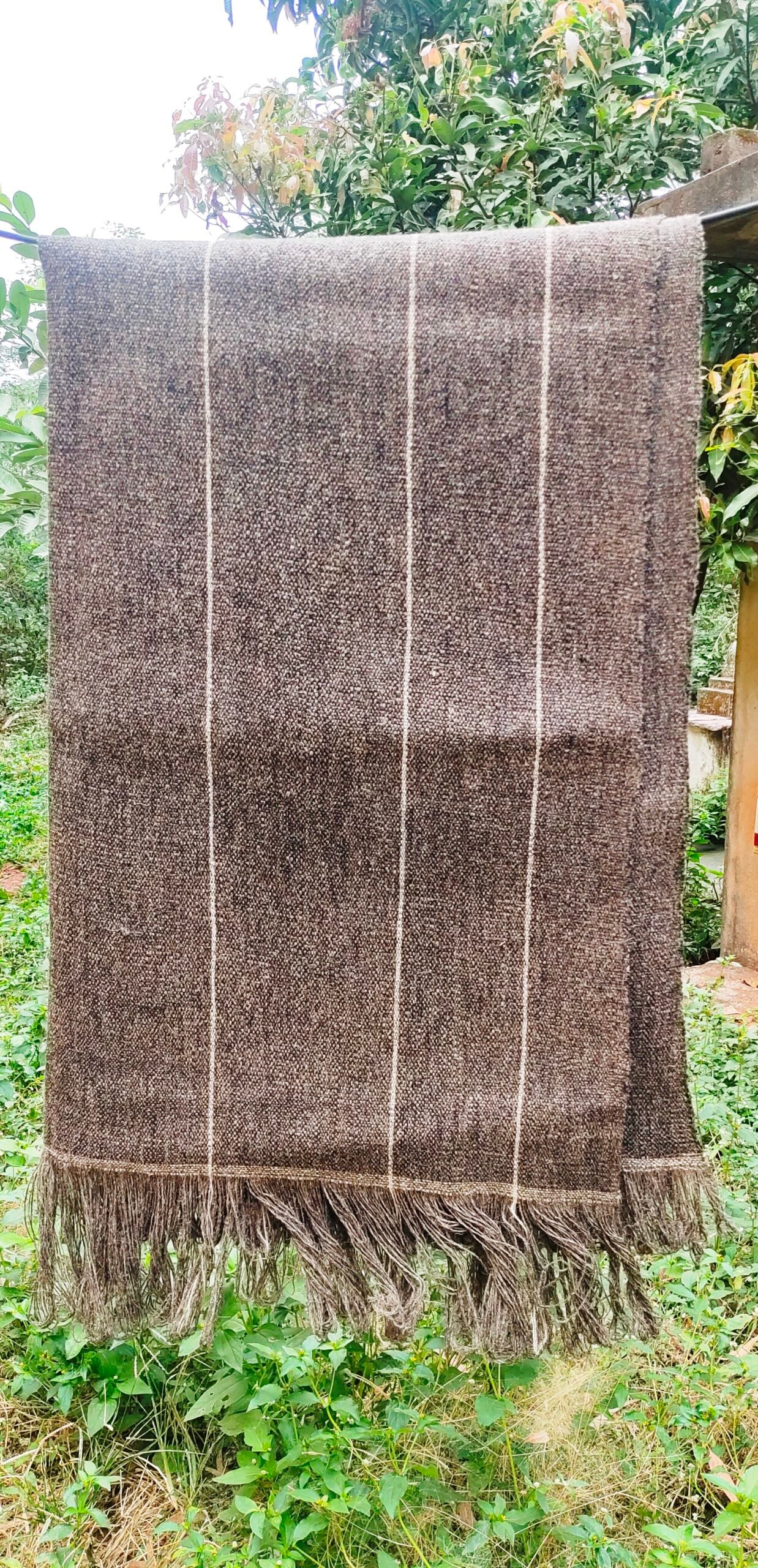 Ghongadi Aasan pure wool